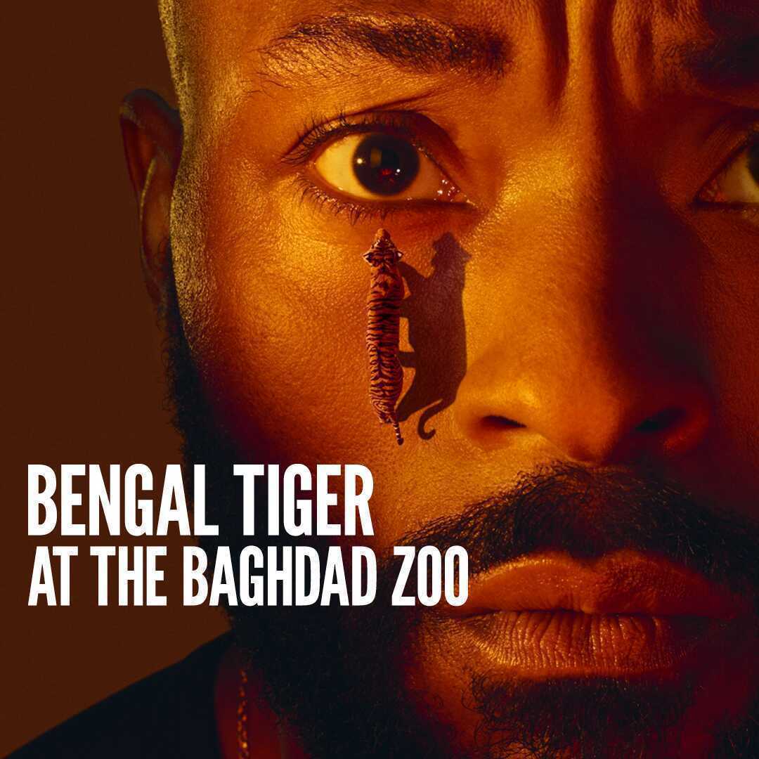 Bengal Tiger at the Baghdad Zoo - Cheap Theatre Tickets - Young Vic